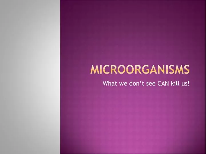 PPT - MicroorganismS PowerPoint Presentation, free download - ID:2016528