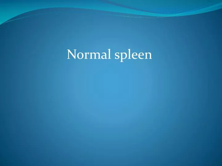 PPT - Normal spleen PowerPoint Presentation, free download - ID:2017060