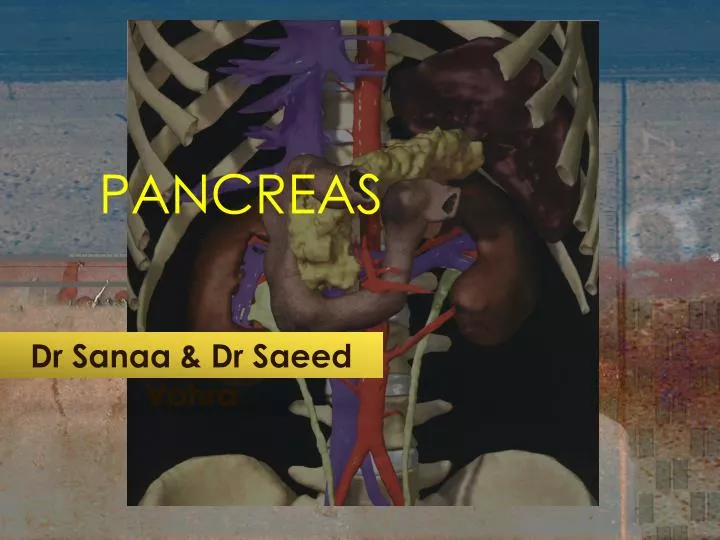 PPT - PANCREAS PowerPoint Presentation, free download - ID:2017166