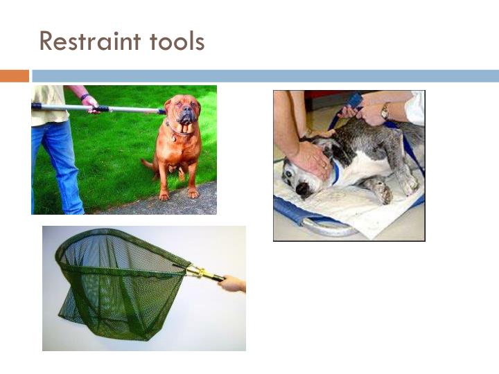 PPT - Handling , Transportation, First Aid, and CPR of Injured ...