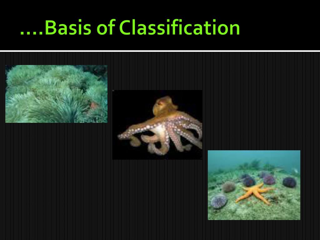 PPT - Diversity in Living Organism PowerPoint Presentation, free ...