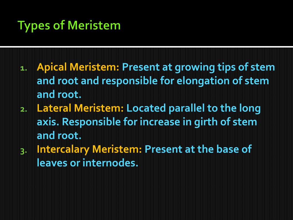 PPT - Diversity in Living Organism PowerPoint Presentation, free ...