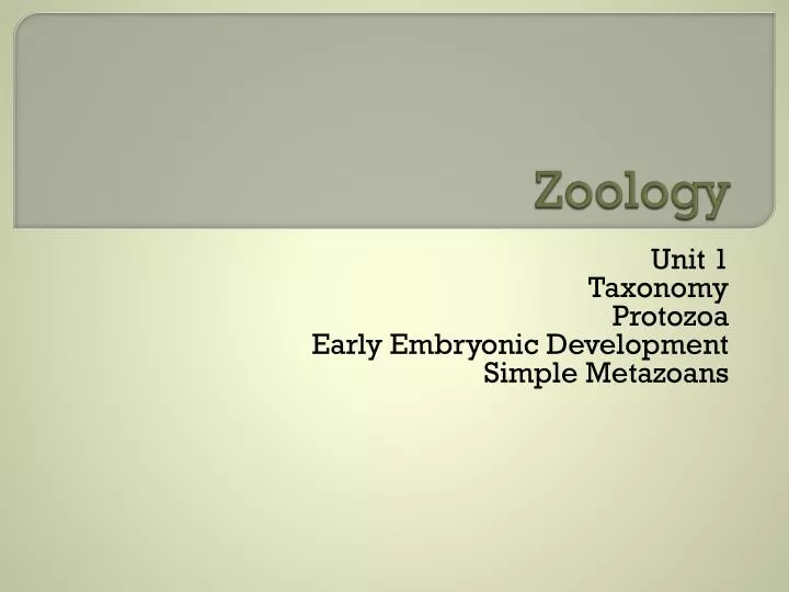 PPT - Zoology PowerPoint Presentation, free download - ID:2017534