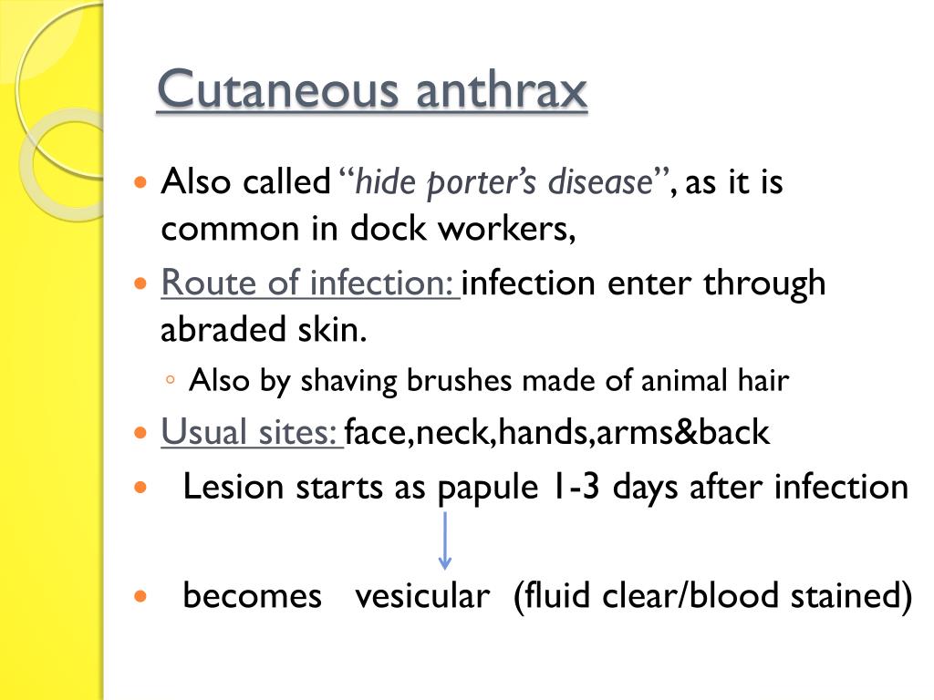 PPT - CLINICAL FEATURES EPIDEMIOLOGY LAB DIAGNOSIS PROPHYLAXIS ...