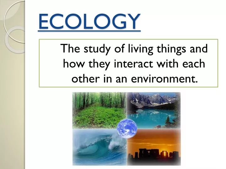PPT - ECOLOGY PowerPoint Presentation, free download - ID:2018328 PPT - ECOLOGY PowerPoint Presentation, free download - ID:2018328