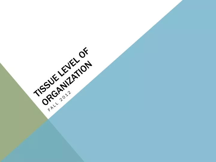 PPT - Tissue level of organization PowerPoint Presentation, free ...