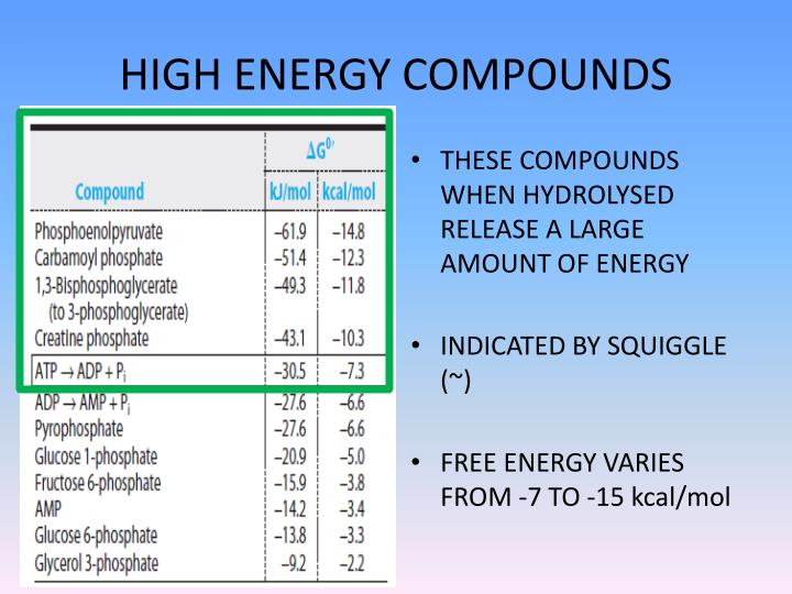 PPT - Biological Oxidation PowerPoint Presentation - ID:2018993