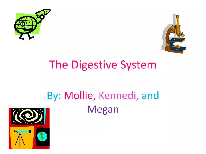 PPT - The Digestive System PowerPoint Presentation, free download - ID ...