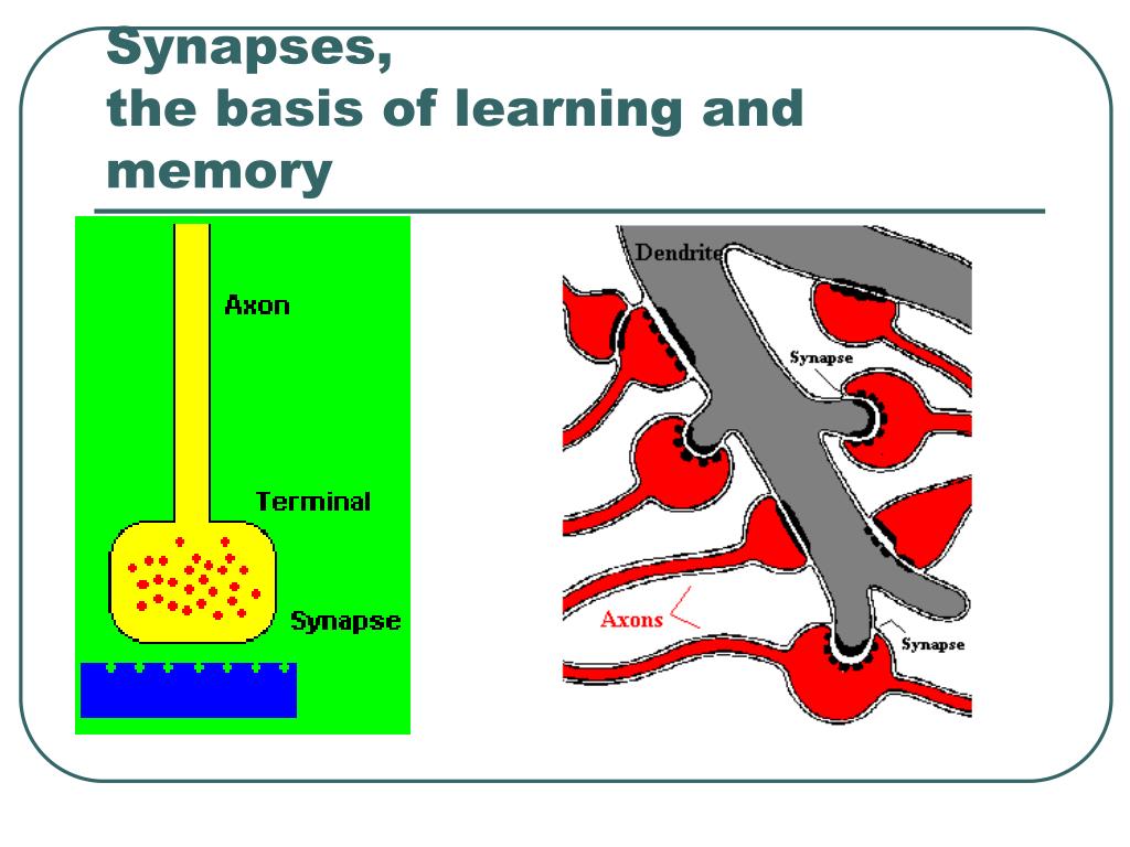 PPT - CSE 634 Data Mining Techniques PowerPoint Presentation, free ... PPT - CSE 634 Data Mining Techniques PowerPoint Presentation, free ...
