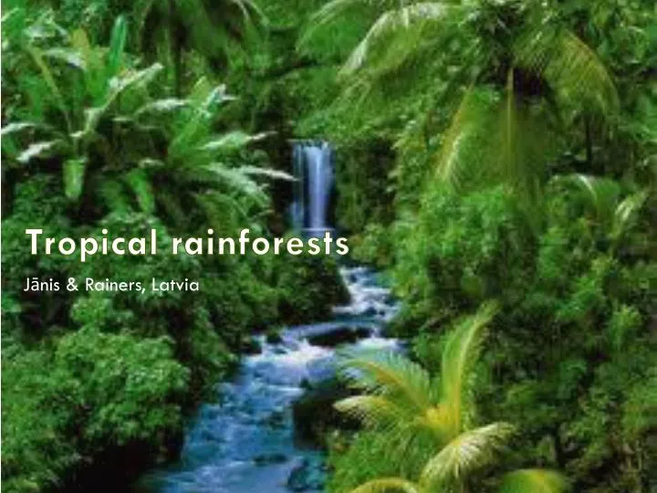 PPT - Tropical rainforests PowerPoint Presentation, free download - ID ...