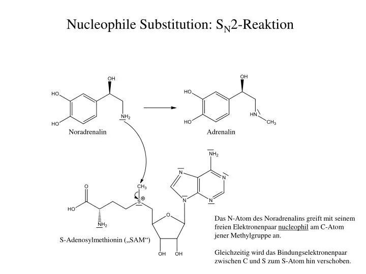 PPT - Adrenalin PowerPoint Presentation, free download - ID:2019611