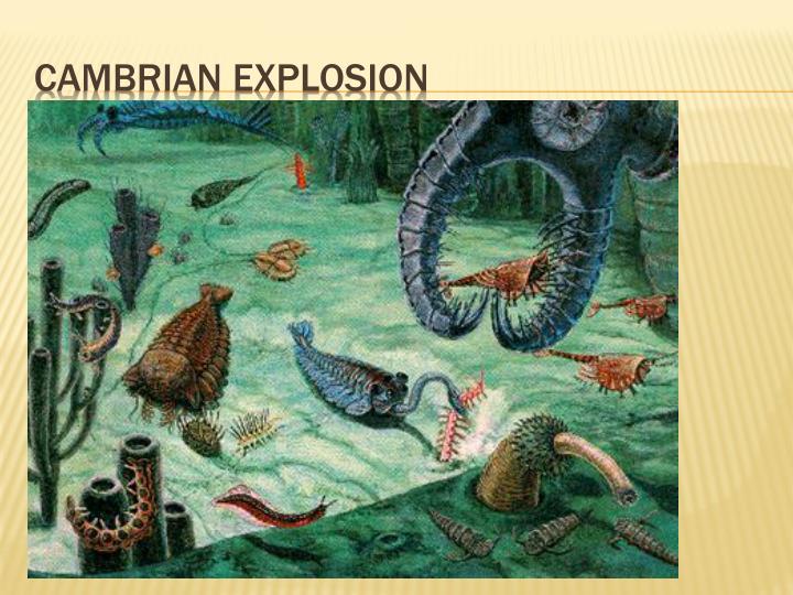 PPT - A Short Look at Earth History PowerPoint Presentation - ID:2019682