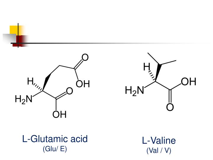 PPT - Myoglobin & Hemoglobin PowerPoint Presentation - ID:2019714