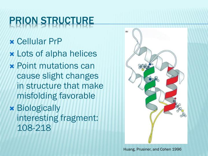 PPT - Kinetics of the Prion Protein: Structure, Misfolding , Disease ...