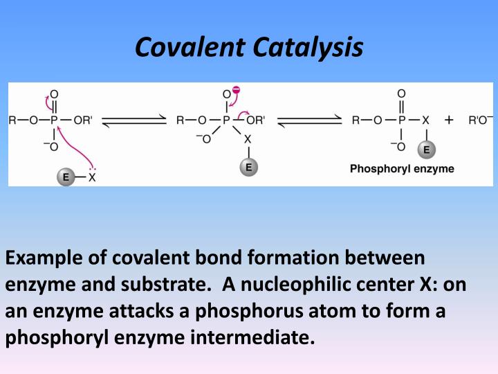 PPT - Mechanisms of Enzyme Action PowerPoint Presentation - ID:2019809