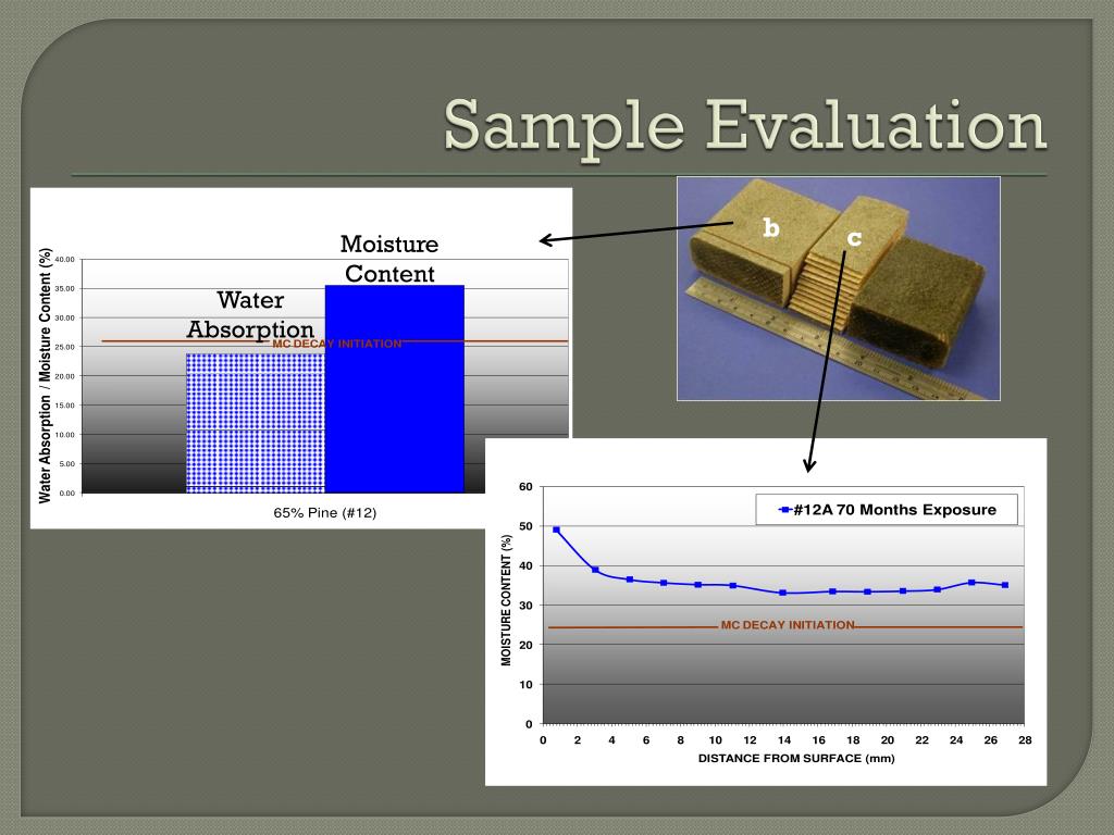 PPT - Water Absorption and Durability of Wood Plastic Composites ...