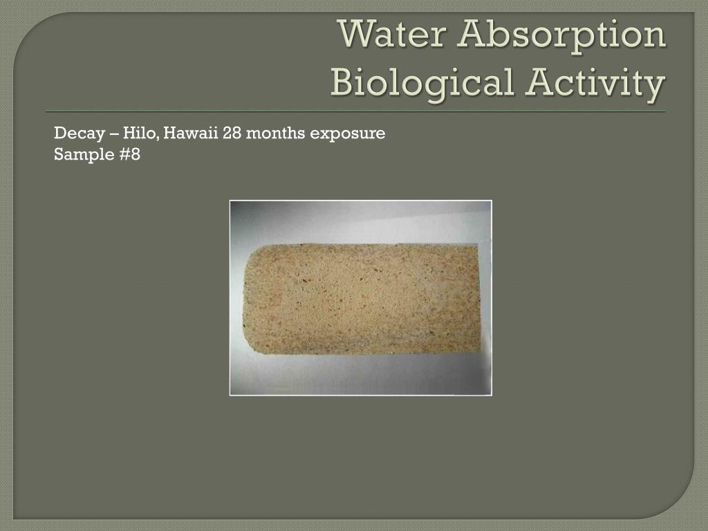 PPT - Water Absorption and Durability of Wood Plastic Composites ...