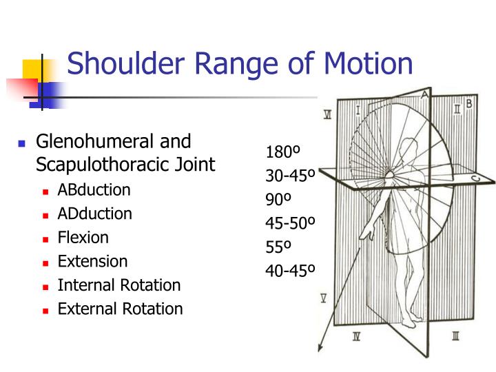PPT - Shoulder Pain PowerPoint Presentation - ID:2019838