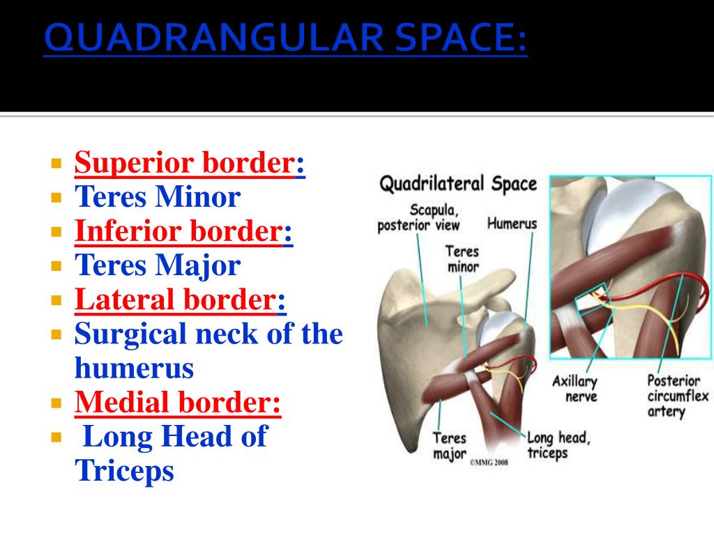 PPT - WINDSOR UNIVERSITY SCHOOL OF MEDICINE St.Kitts PowerPoint ...