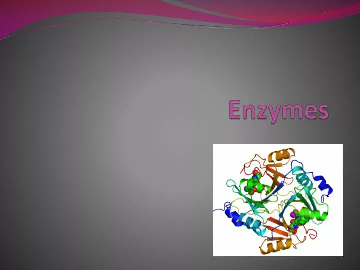 PPT - Enzymes PowerPoint Presentation, free download - ID:2019871