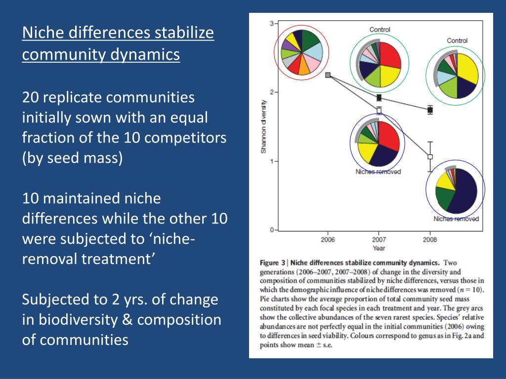 PPT - The Importance of Niches for the Maintenance of Species Diversity ...