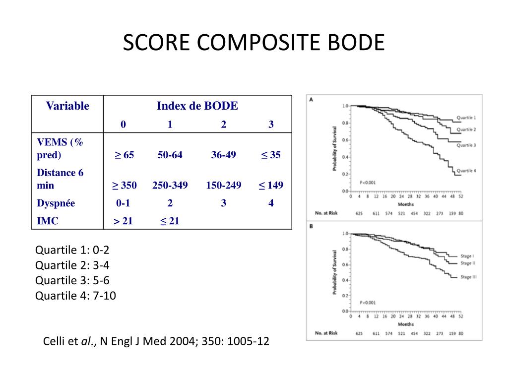 PPT - JOURNEE REGIONALE DE FORMATION REHABILITATION RESPIRATOIRE ...