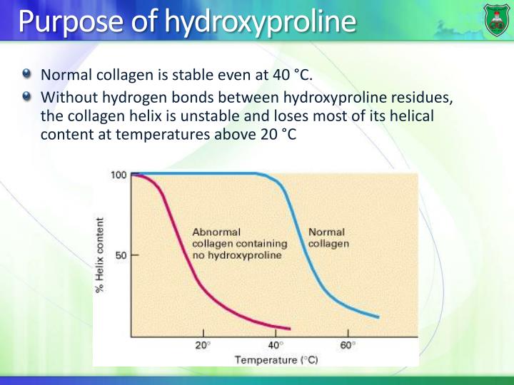 PPT - Structure-function relationship: Fibrous proteins PowerPoint ...