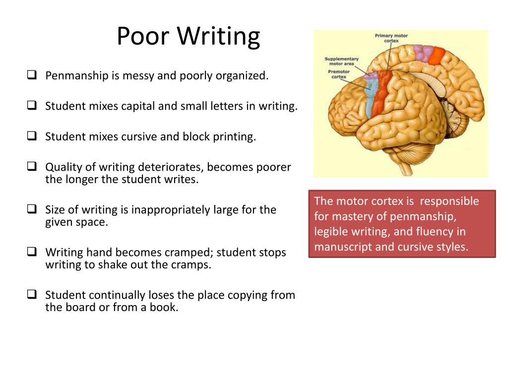 PPT - Goose Creek CISD Staff Development Presenters: Dyslexia ...