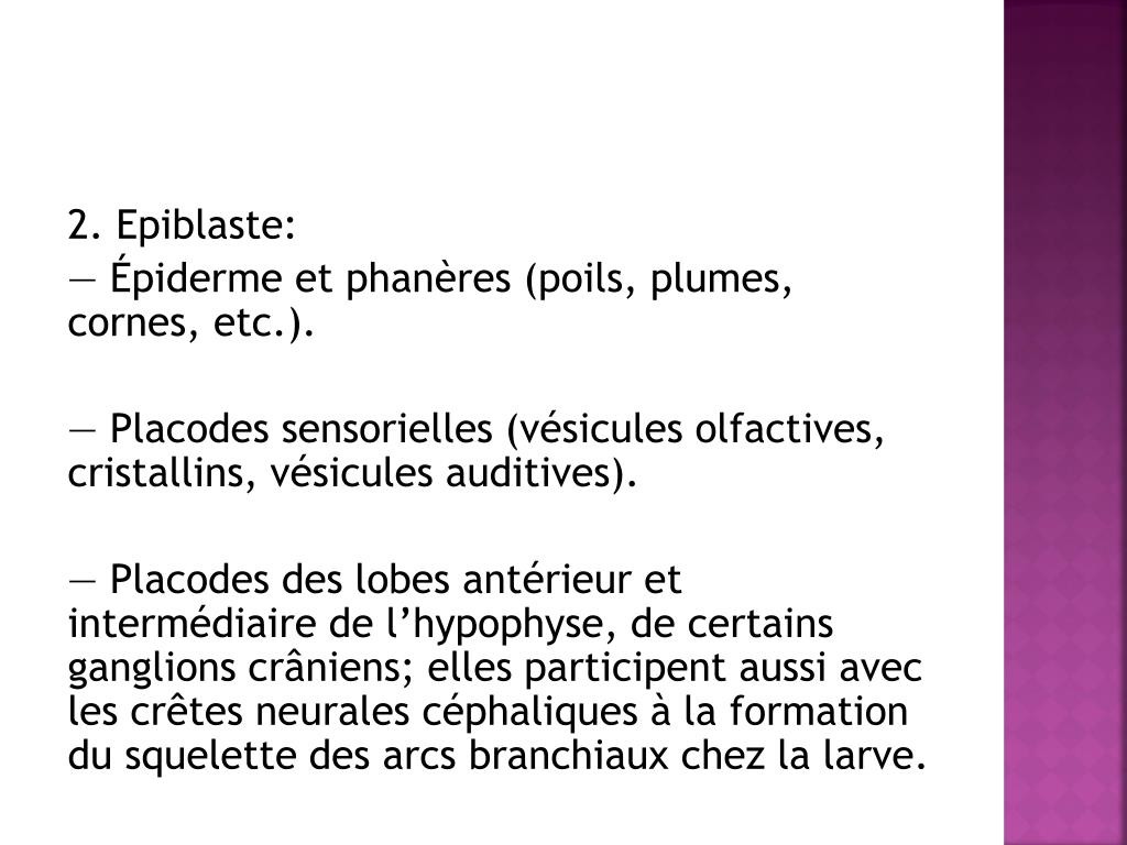 PPT - DEVELOPPEMENT EMBRYONNAIRE DES AMPHIBIENS PowerPoint Presentation ...