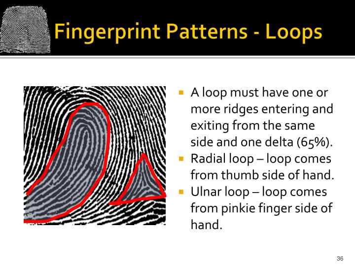 PPT - Fingerprinting Merit Badge PowerPoint Presentation - ID:2021872