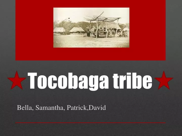 PPT - Tocobaga tribe PowerPoint Presentation, free download - ID:2022237