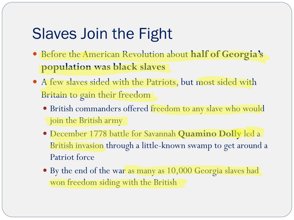 PPT - The American Revolution and Georgia Statehood PowerPoint ...