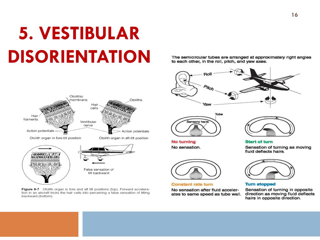 Ppt Lecture 9 Orientation And Motion Sickness Powerpoint Presentation