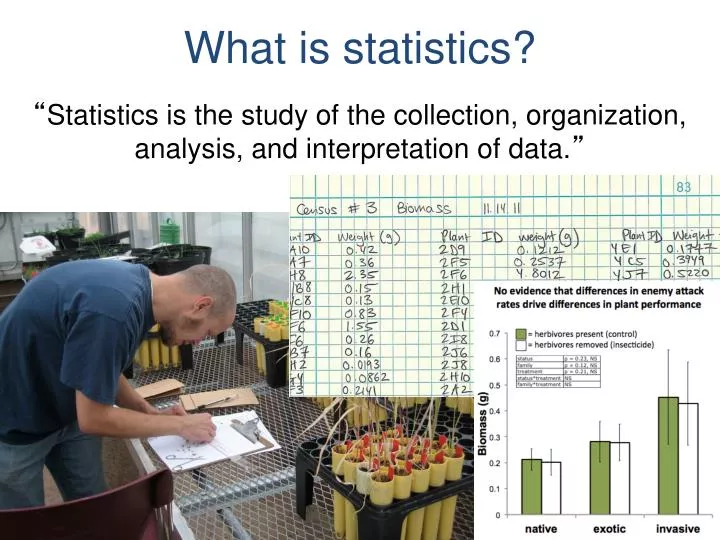 PPT - What is statistics? PowerPoint Presentation, free download - ID ...