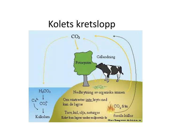 PPT - Kolets kretslopp PowerPoint Presentation, free download - ID:2023729