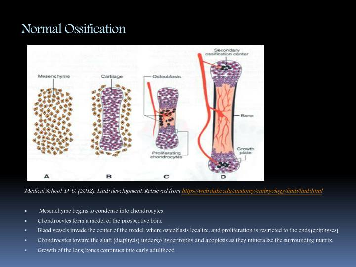 PPT - Heterotopic Ossifications BY: Christina BROWN PowerPoint ...