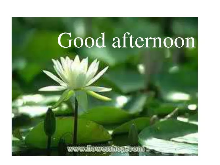 PPT - Good afternoon PowerPoint Presentation, free download - ID:2024053