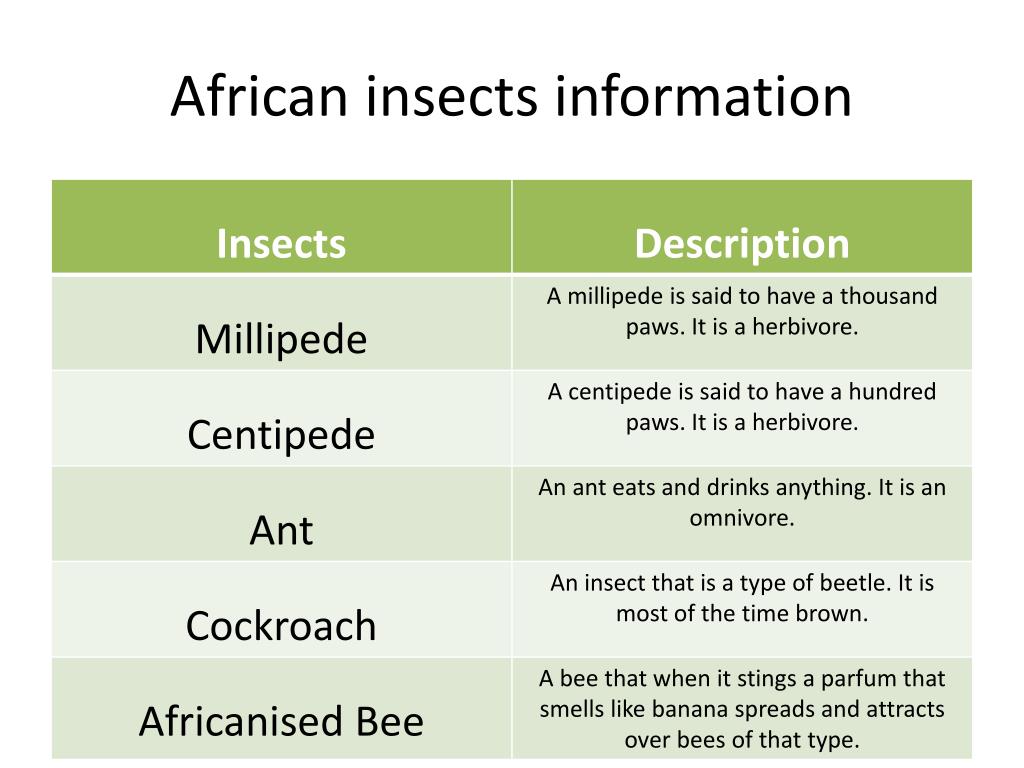 PPT - African animals & insects PowerPoint Presentation, free download ...