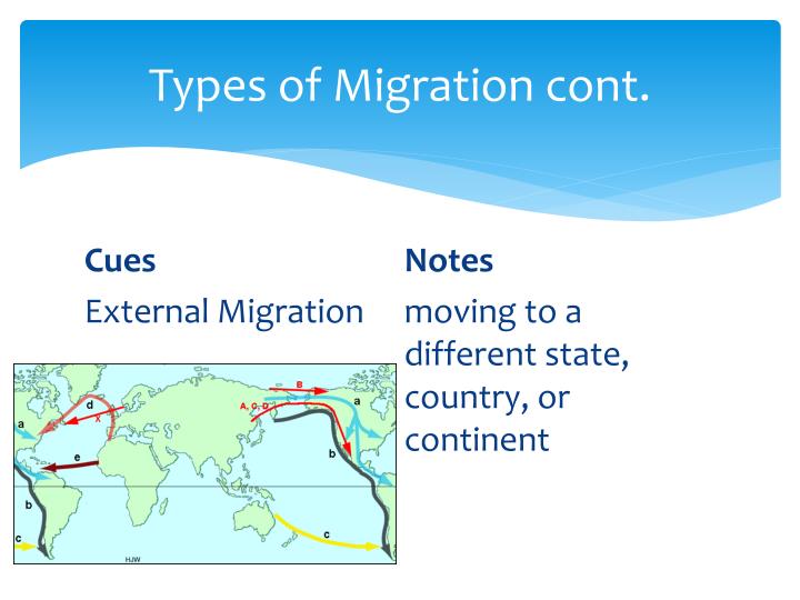PPT - Human Migration PowerPoint Presentation - ID:2025467
