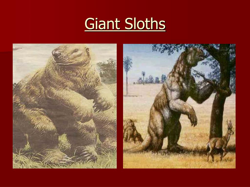PPT - Georgia’s Early Native Tribes and Civilizations PowerPoint ...