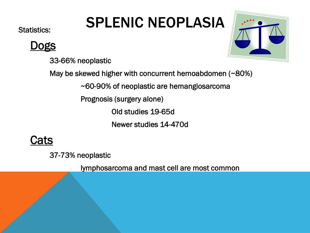 PPT - Practical Ultrasound: Recognition of Surgical Disease PowerPoint ...