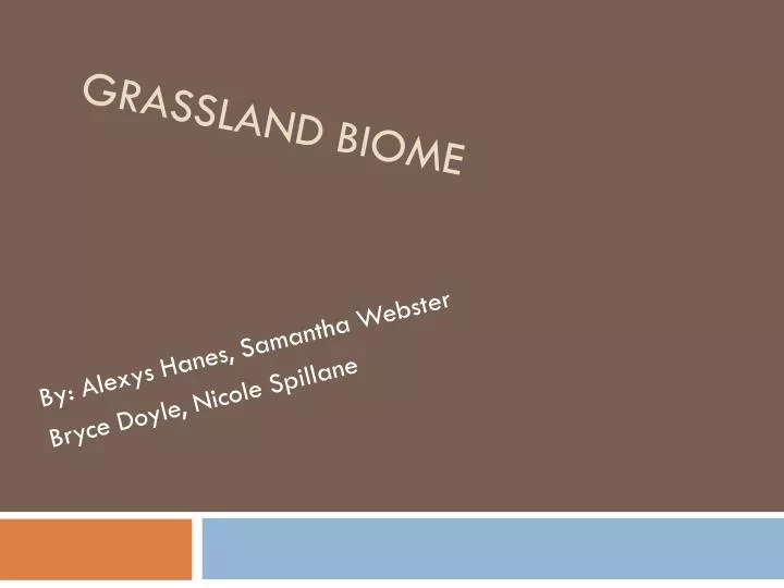 PPT - Grassland biome PowerPoint Presentation, free download - ID:2026405