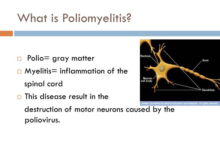 PPT - POLIOMYELITIS PowerPoint Presentation - ID:2026529