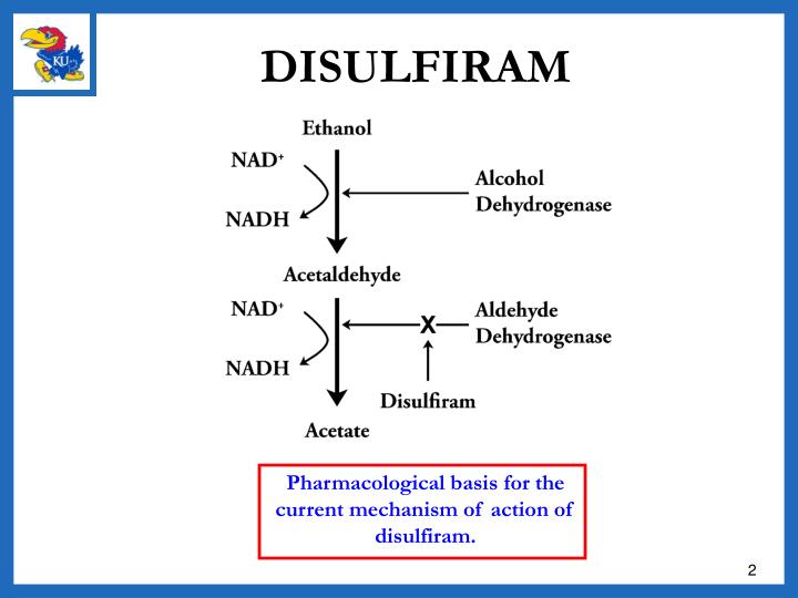 PPT - DISULFIRAM PowerPoint Presentation - ID:2026769