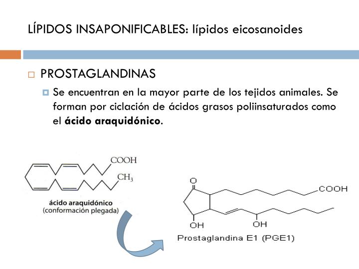 PPT - TEMA 3. LOS LÍPIDOS PowerPoint Presentation - ID:2026815