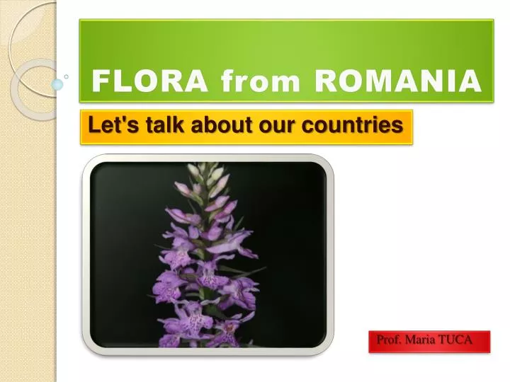 PPT - FLORA from ROMANIA PowerPoint Presentation, free download - ID ...