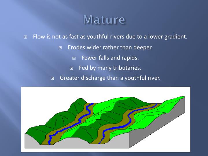 PPT - 4.2 RIVER SYSTeM DEVELOPMENT PowerPoint Presentation - ID:2027319