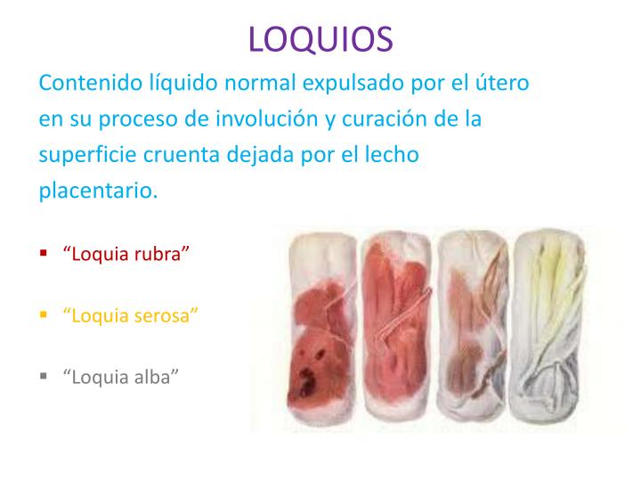 PPT - ~Atención, Parto y Puerperio~ PowerPoint Presentation - ID:2027525