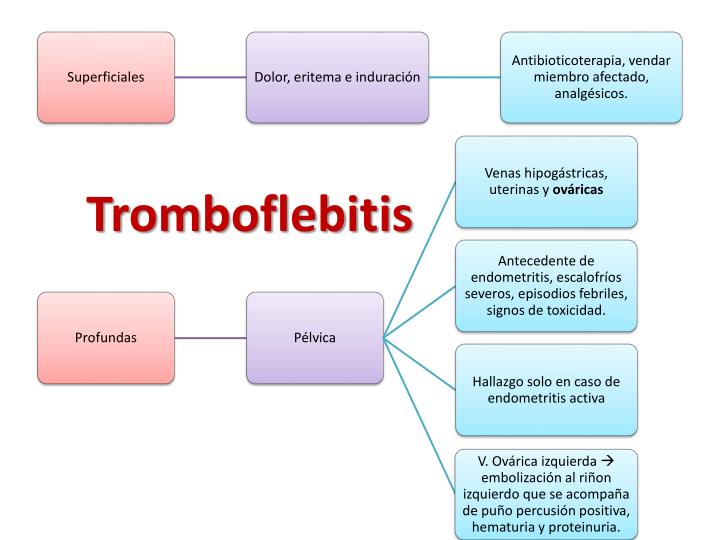 PPT - ~Atención, Parto y Puerperio~ PowerPoint Presentation - ID:2027525