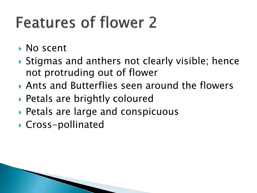 PPT - Science Nature Trail (LSS ACE) PowerPoint Presentation, free ...